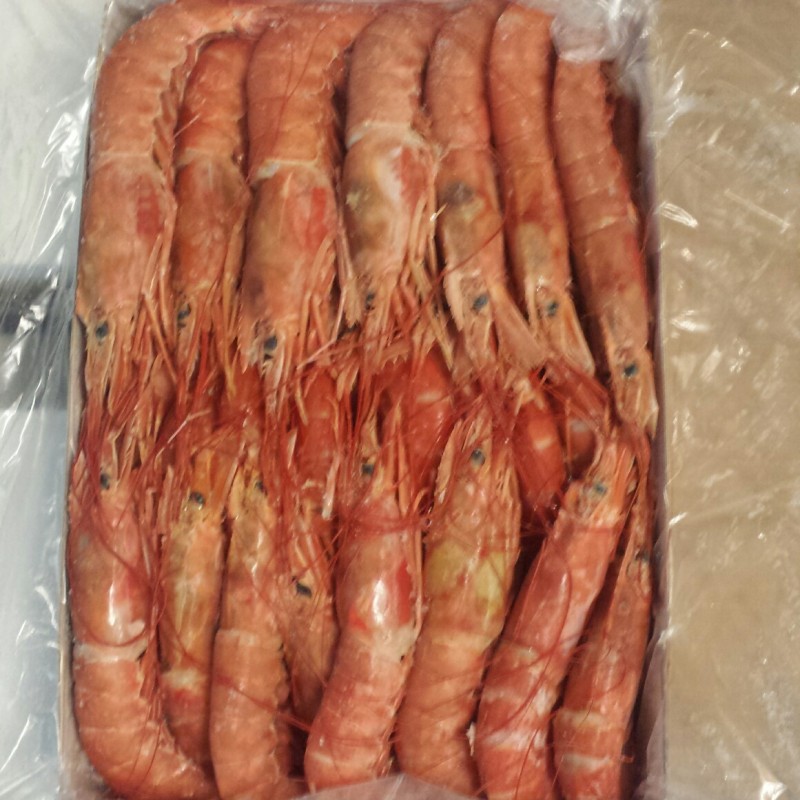 CREVETTES ENTIERES CRUES SAUVAGES ARGENTINE PLEOTICUS MUELLERI - ALMAFOOD